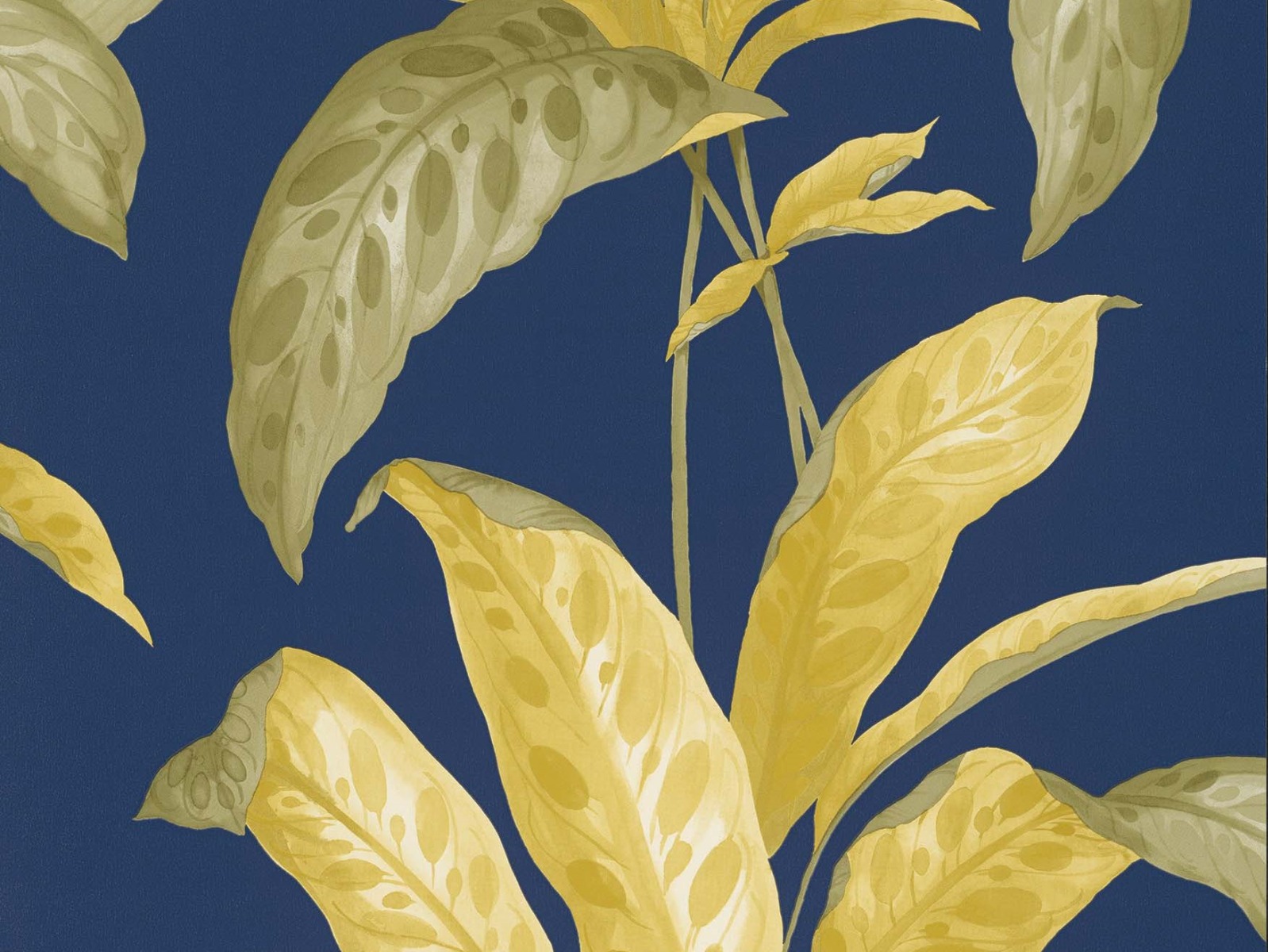 Paint & Paper Library behang Tropicane - Plimsoll | STYQX